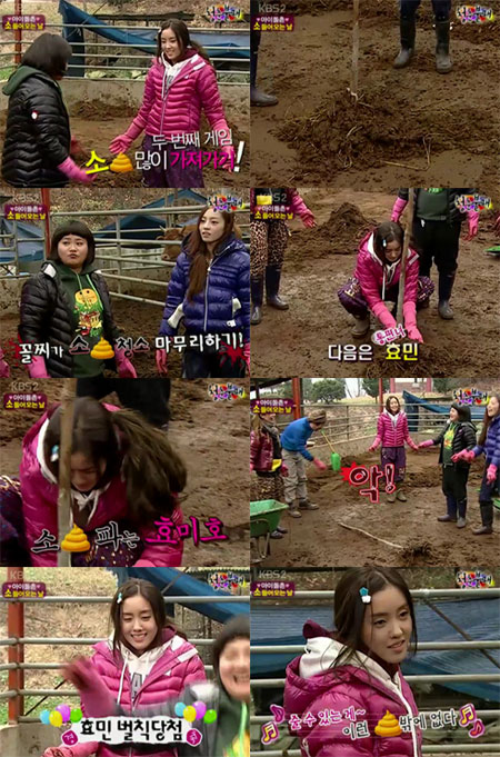 KBS '청춘불패' 소똥천지 되다 | bnt뉴스