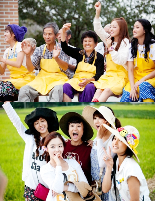 인기 예능 청춘불패, 표절논란 '중국판 청춘불패'? KBS 측 中 시정 요구 | bnt뉴스