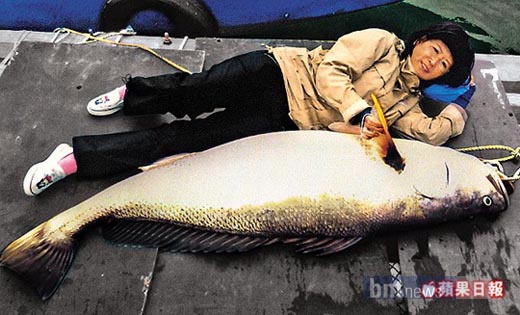 中 5억 황순어 '얼마나 크길래' 폭풍관심 | bnt뉴스