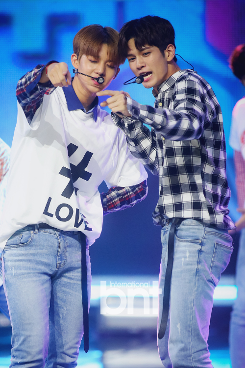 [bnt포토s] '느껴지나요pt2' 워너블 향한 워너원의 애교 퍼레이드 | bnt뉴스