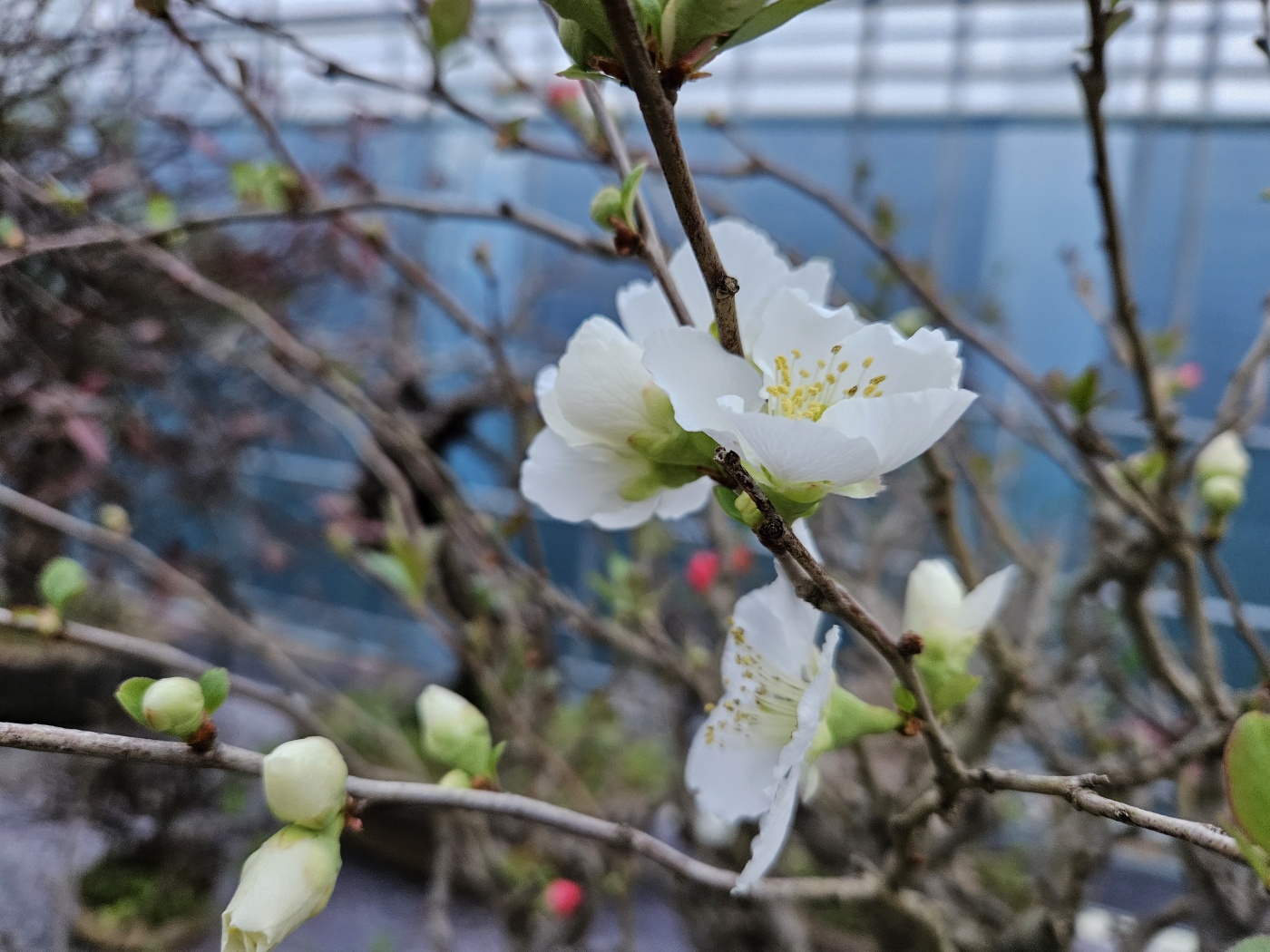 내일날씨, 포근한 휴일...미세먼지 ‘나쁨’ 건조특보 ‘불조심’ | bnt뉴스