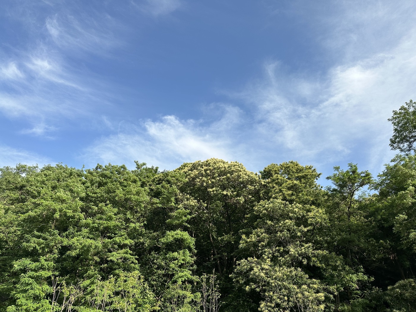오늘날씨, 내륙 한낮 30도 이상 “어제보다 덥다”... 강원·경북 소나기 | bnt뉴스