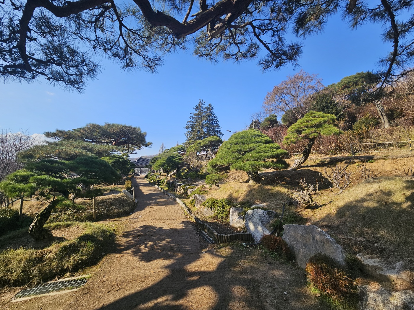 내일날씨, 대체로 맑은 주말…낮 기온 8~15도 ‘포근’ | bnt뉴스