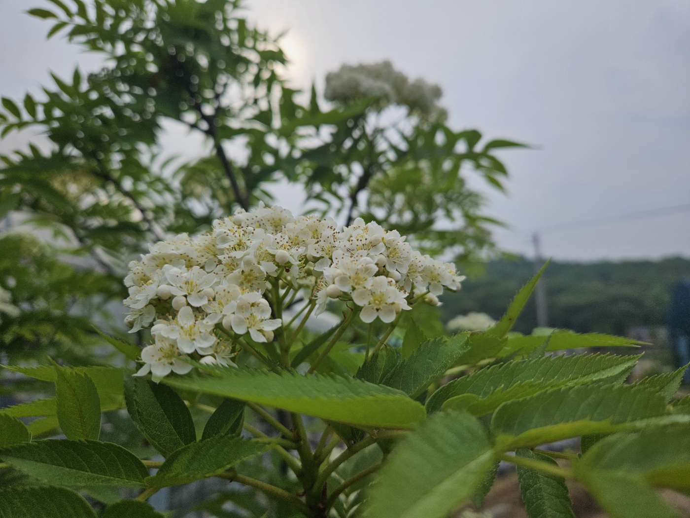 오늘날씨, 쌀쌀한 아침...낮 기온 25도 내외 ‘큰 일교차’ | bnt뉴스