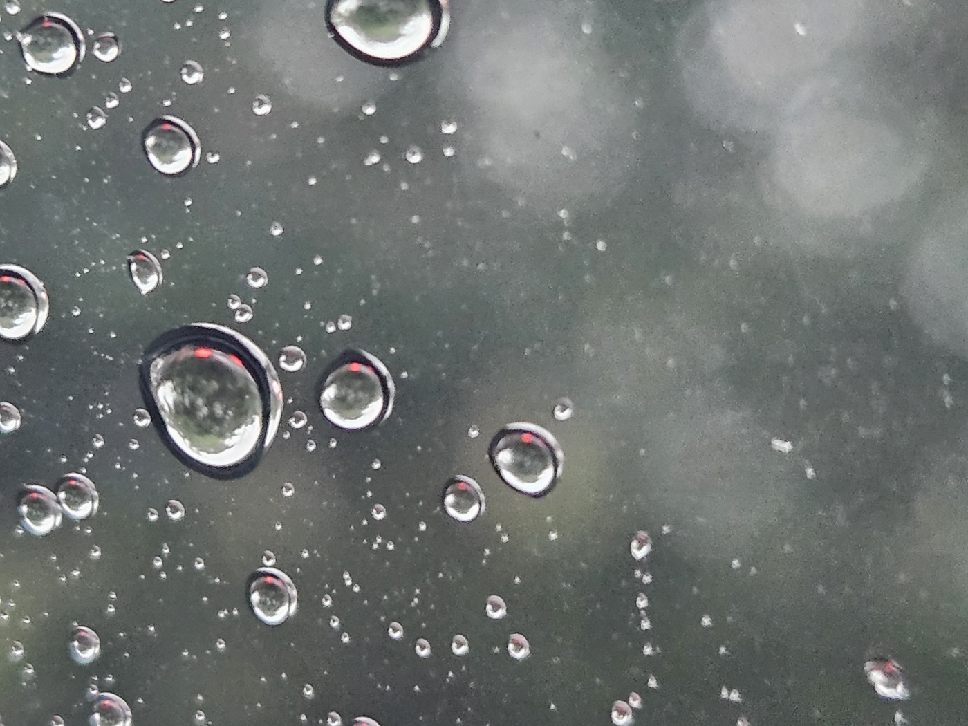 주말 최대 250mm 비 ‘2024년 가을장마’ 기온 떨어지고 큰 일교차 | bnt뉴스