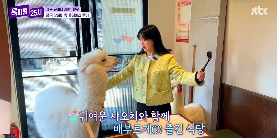 ‘톡파원25시’ 상하이 SNS 핫플 탐방 | bnt뉴스