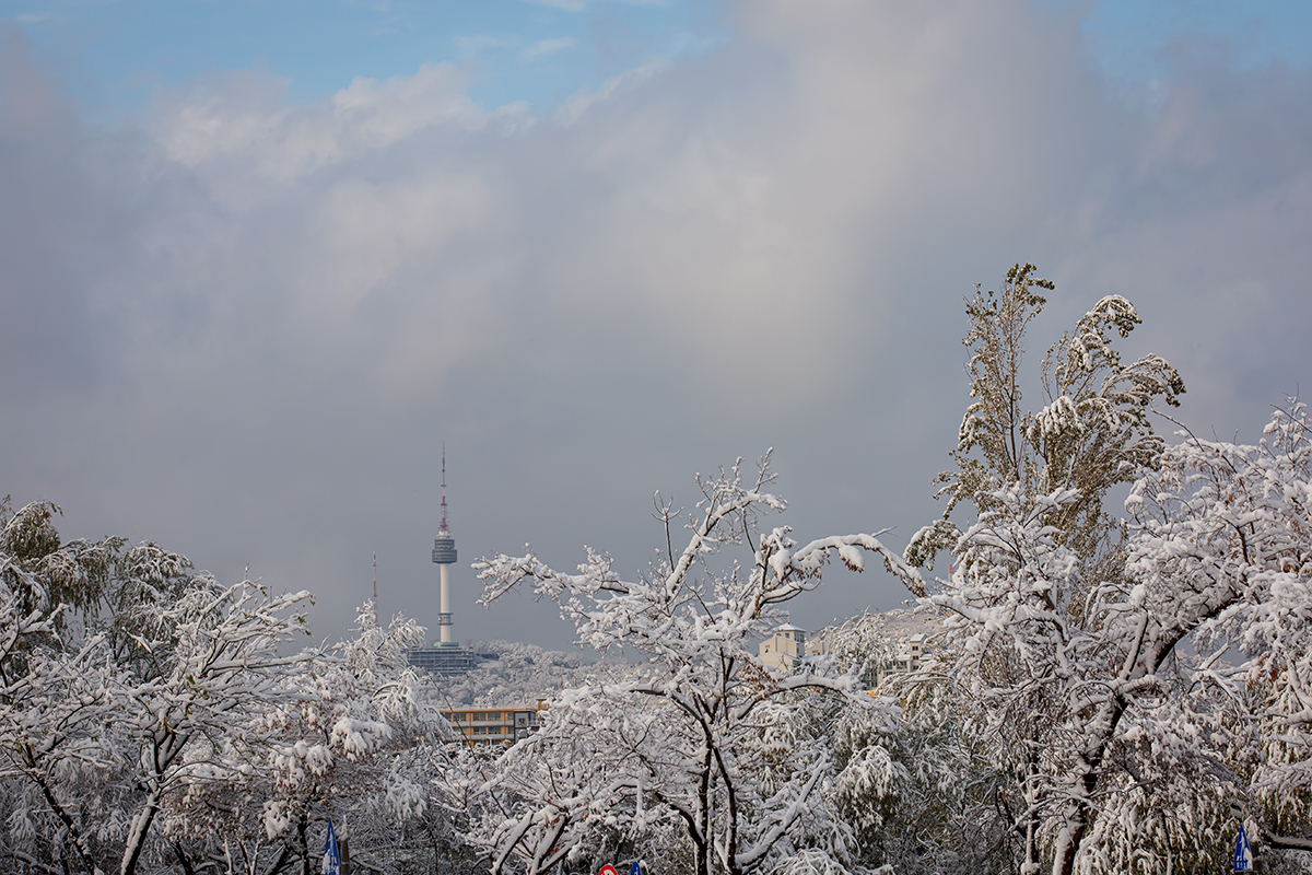 내일날씨, 전국 대부분 강풍 유의... 아침 기온 -11~-1도 ‘체감온도 뚝’ | bnt뉴스