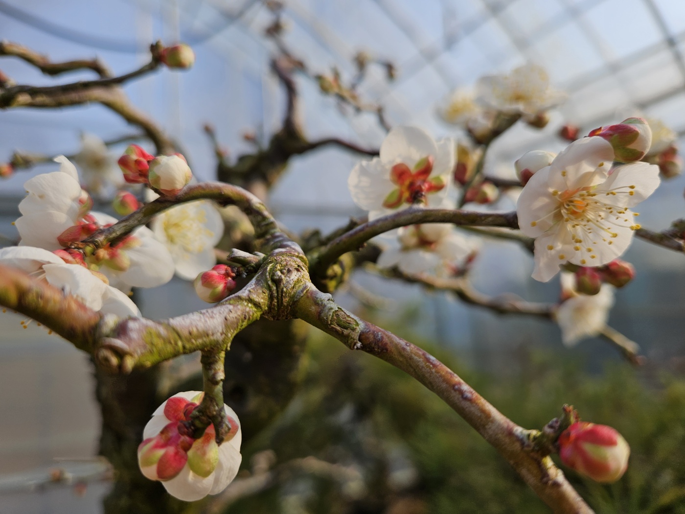 오늘날씨, 낮 최고 14도 ‘포근’...짙은 안개· 미세먼지 ‘나쁨’ | bnt뉴스