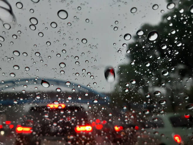 오늘날씨, 서울·인천·경기 5mm 미만 비... 낮 10~17도 ‘포근’ | bnt뉴스