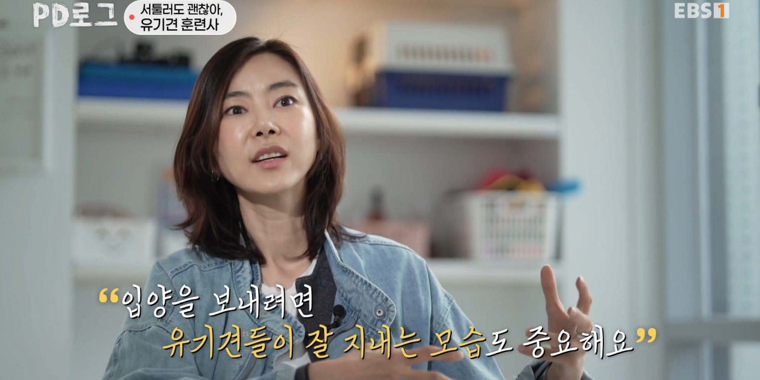 ‘PD로그’ 김효진, 유기견 훈련사의 일상 공개 | bnt뉴스