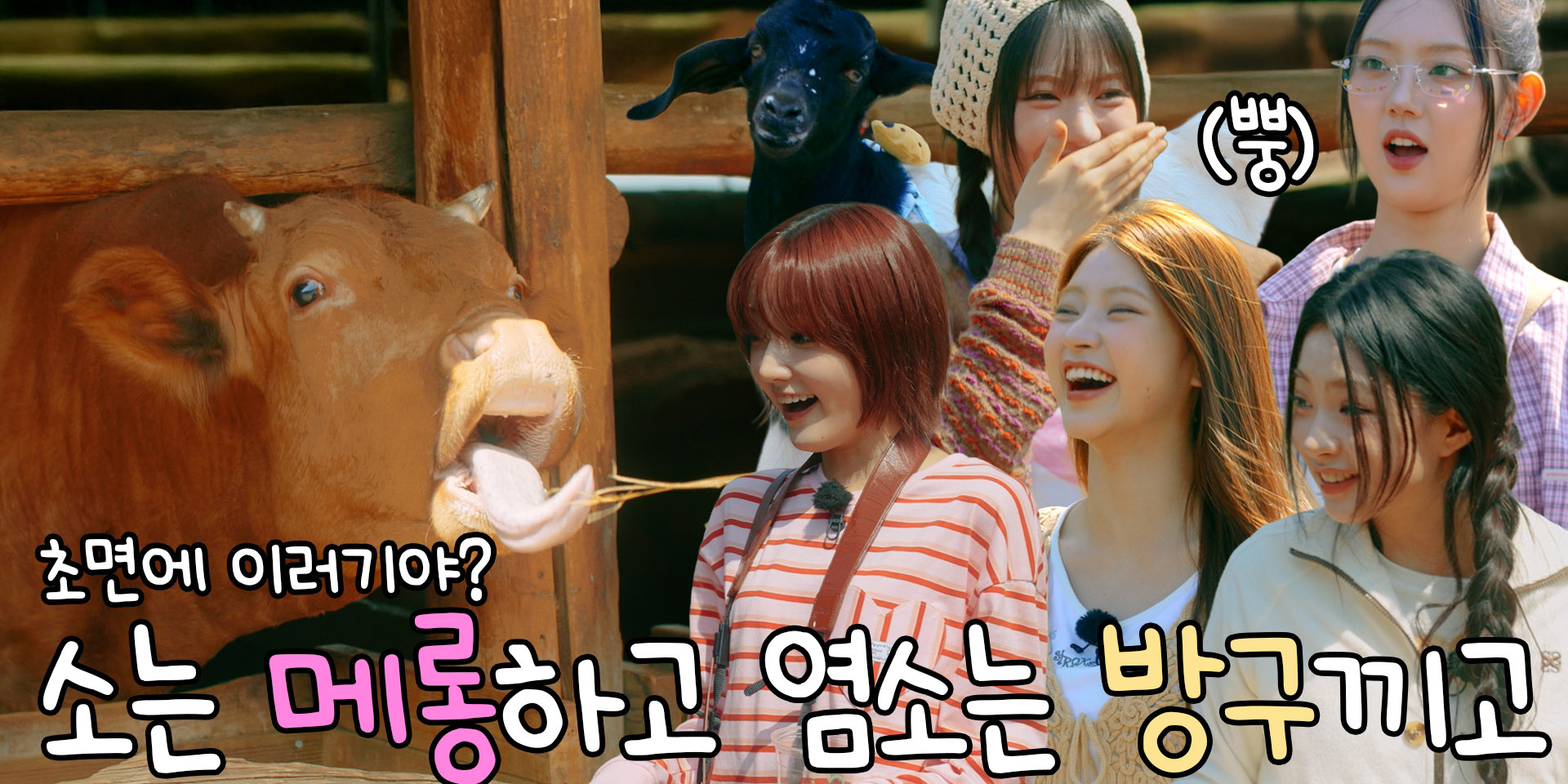 키키, 첫 자체 콘텐츠+데뷔 100일 소감 공개 | bnt뉴스