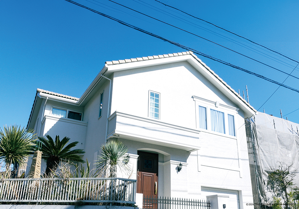 ‘이상한 집’ 관람 포인트 3 | bnt뉴스