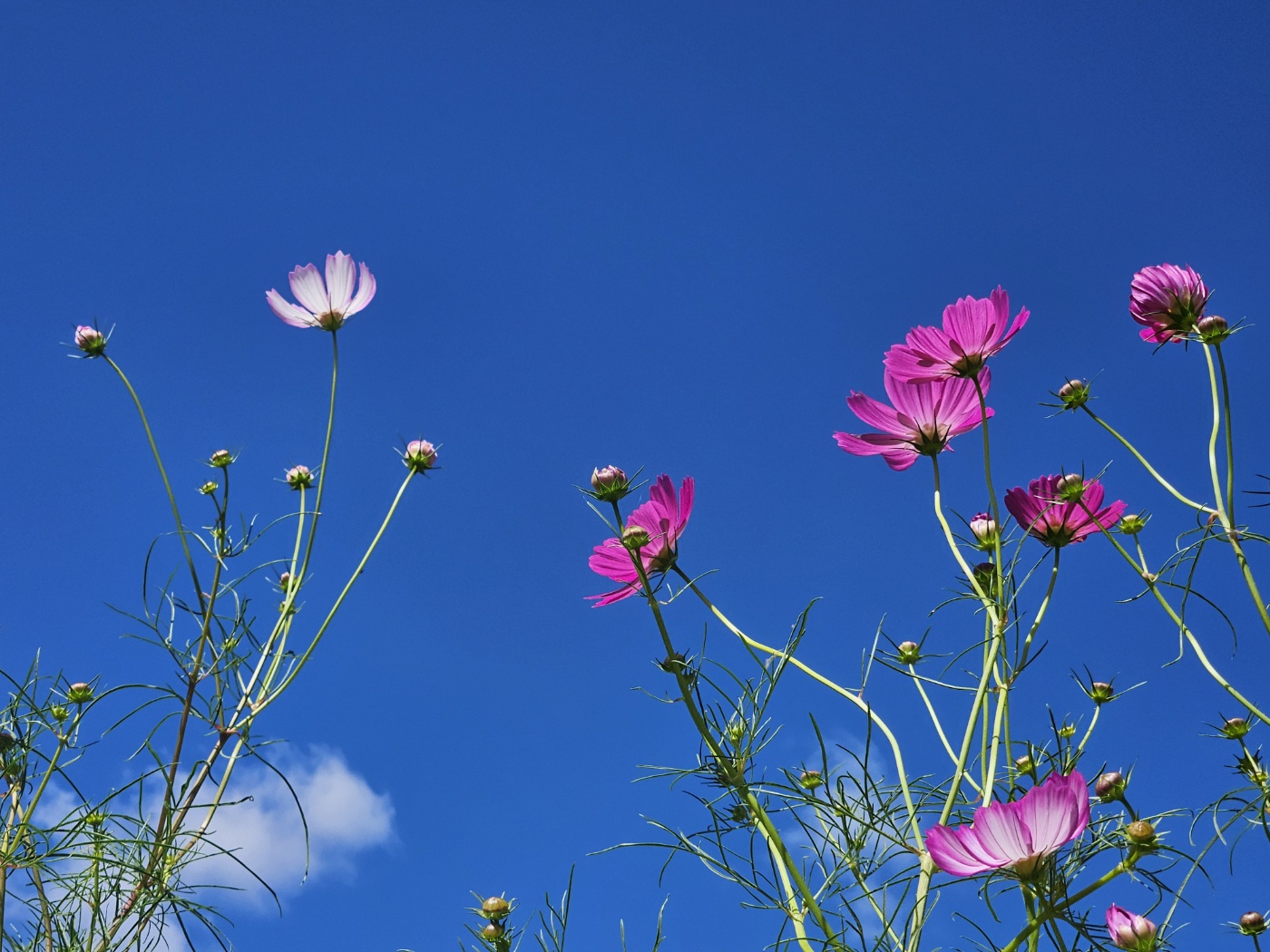 전국 '맑음' 아침 최저 13도…낮 최고 28도 큰 일교차 '유의' [내일날씨] | bnt뉴스