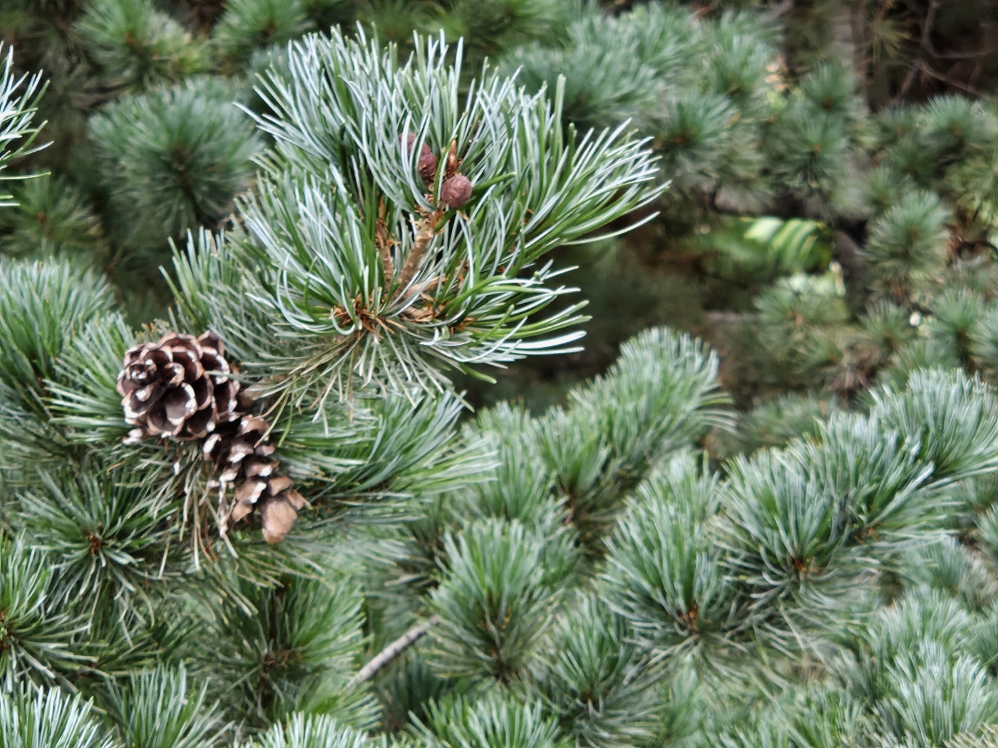 경기 최대 60mm 비…남부 한낮 최고 30도 [오늘날씨] | bnt뉴스